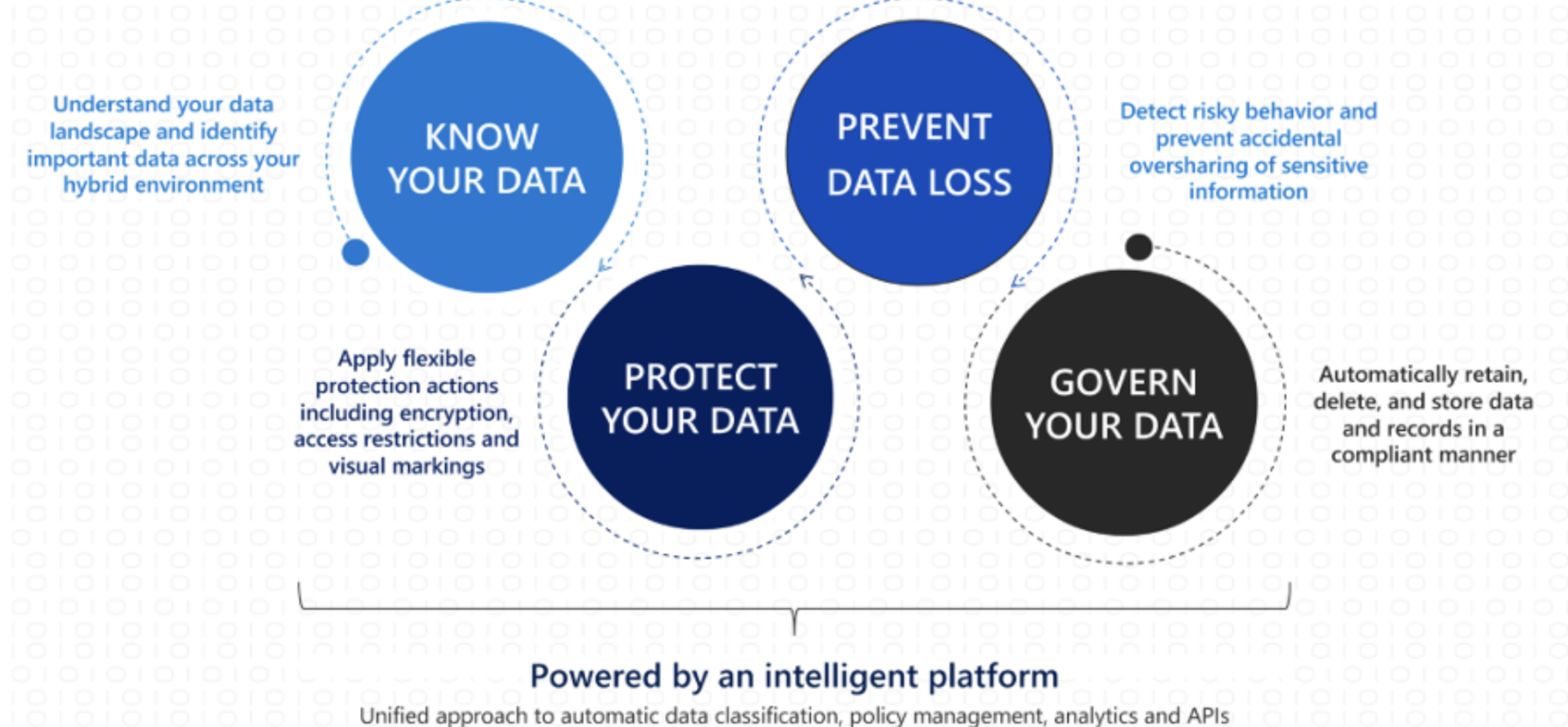 Video: Establish a Strategy for Information Protection and Privacy for ...